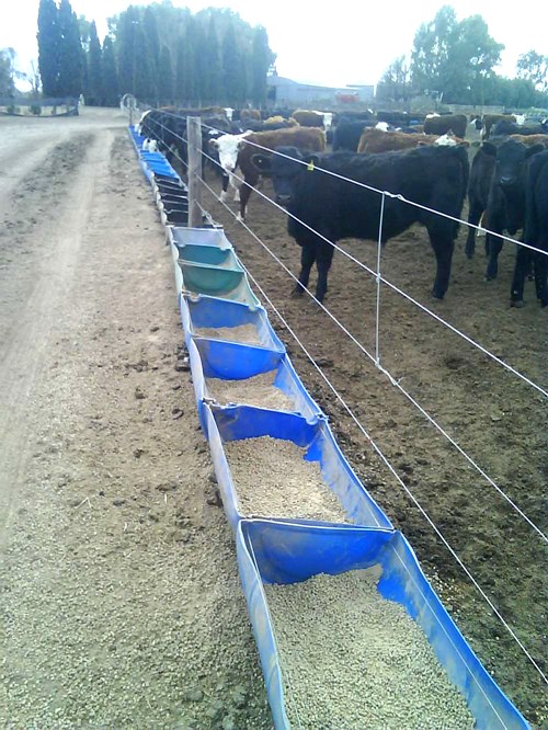 Comederos Para Hacienda - Agroads